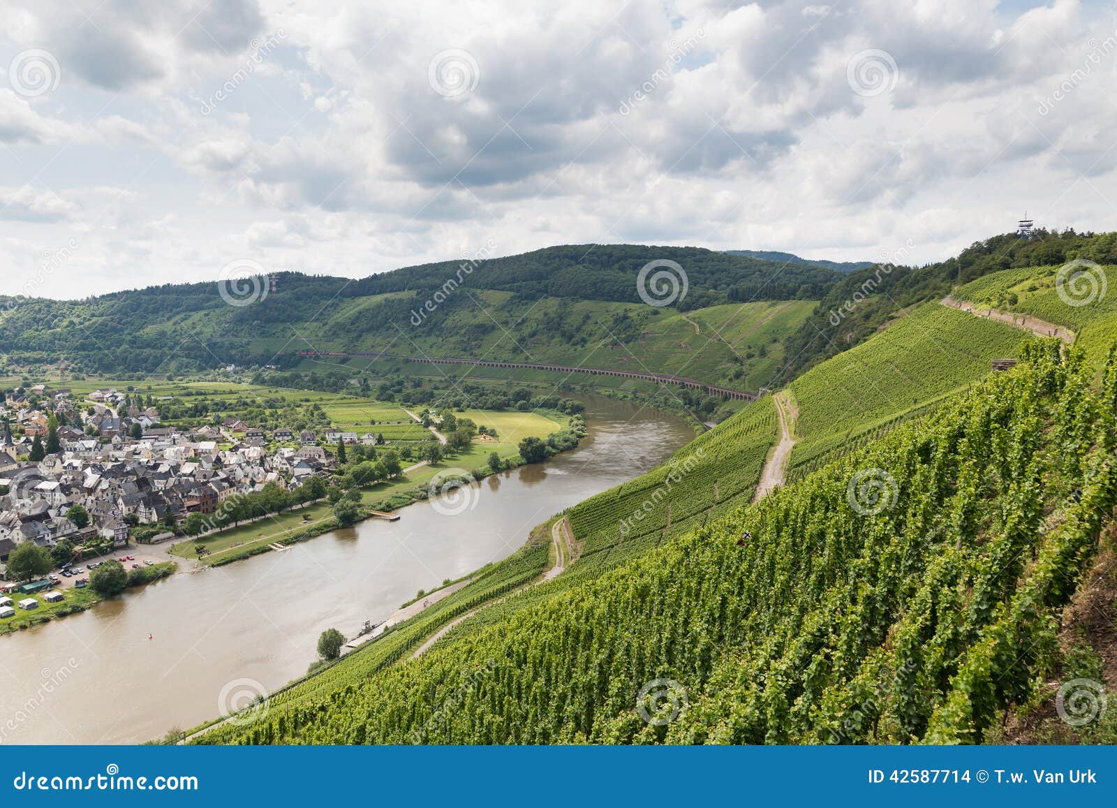 Vineyards in Germany Along River Moselle Near Punderich Stock Photo ...