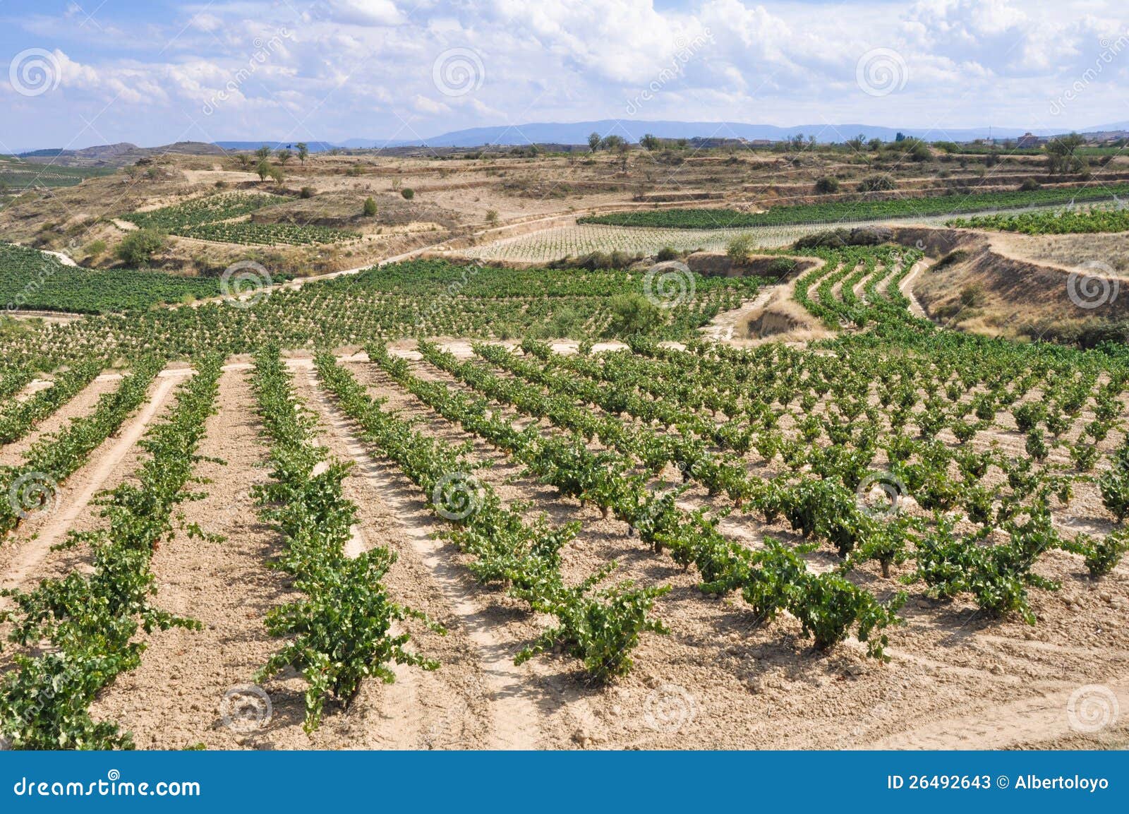 Vineyards, La Rioja (Spain) Stock Image - Image of vineyard, landscape ...