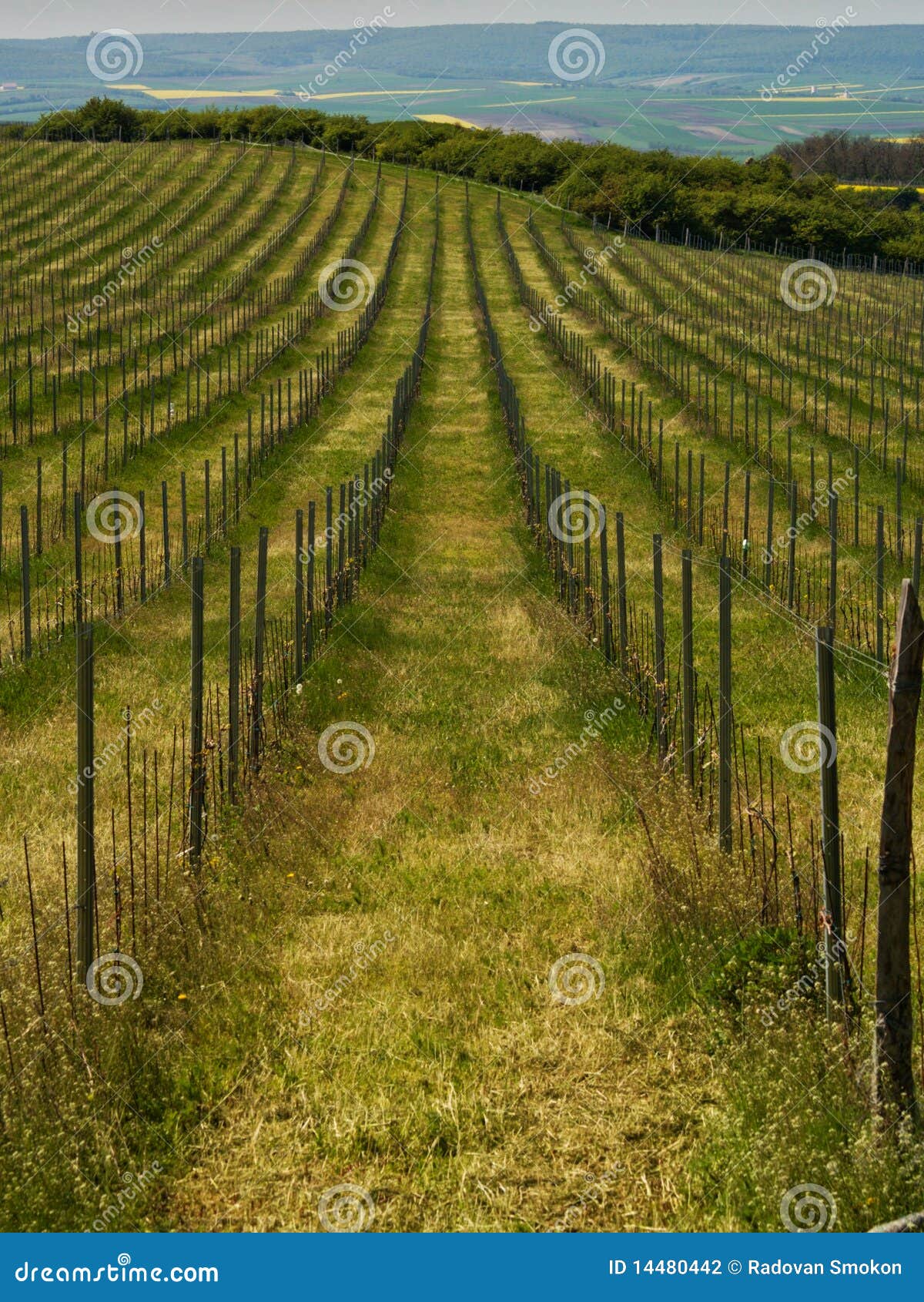 337 Morava Valley Stock Photos - Free & Royalty-Free Stock Photos from ...