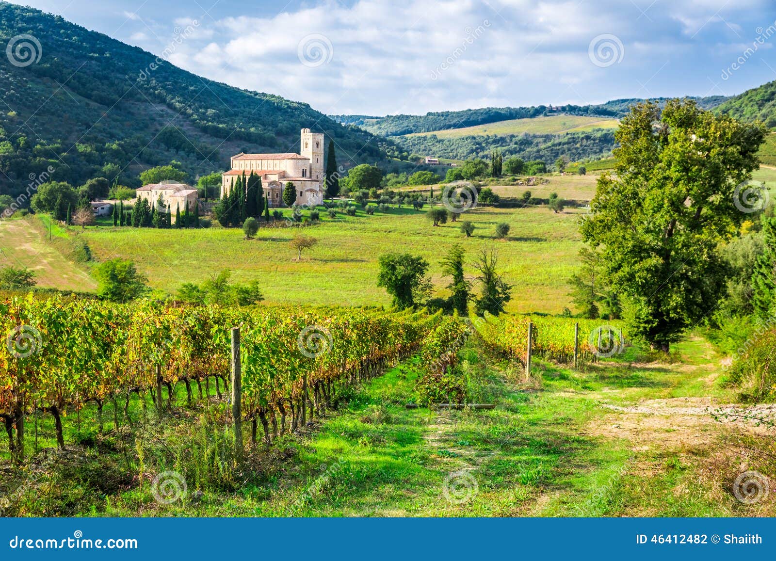 Vineyards and the Monastery in Tuscany Stock Photo - Image of ripe ...