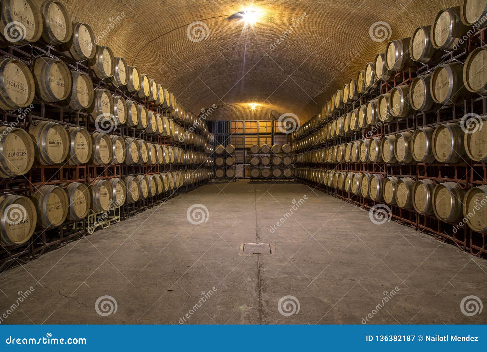 Vineyards Queretaro Mexico Cava Editorial Photography - Image of ...