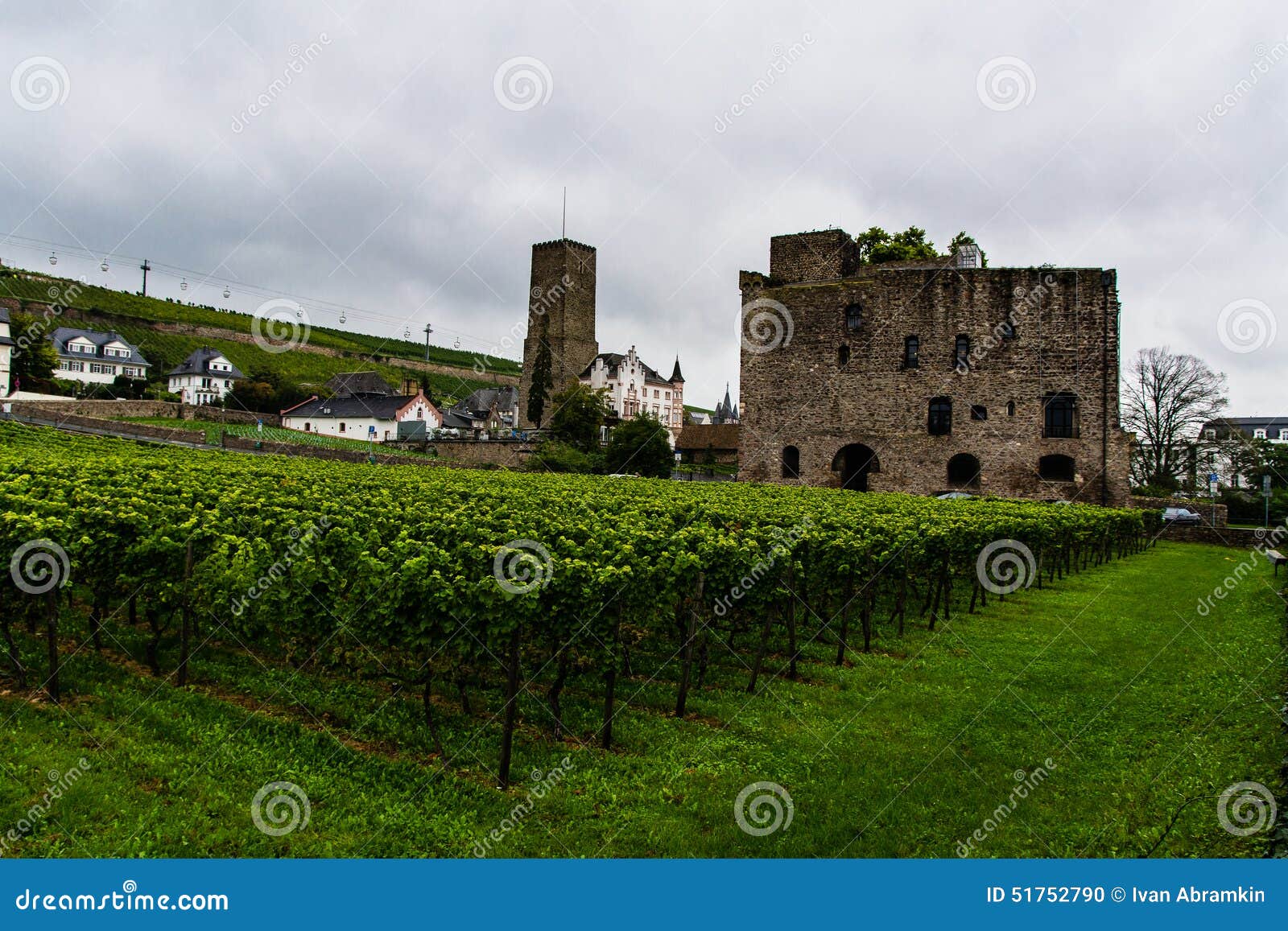 Vineyards of Rudesheim editorial image. Image of roof - 51752790