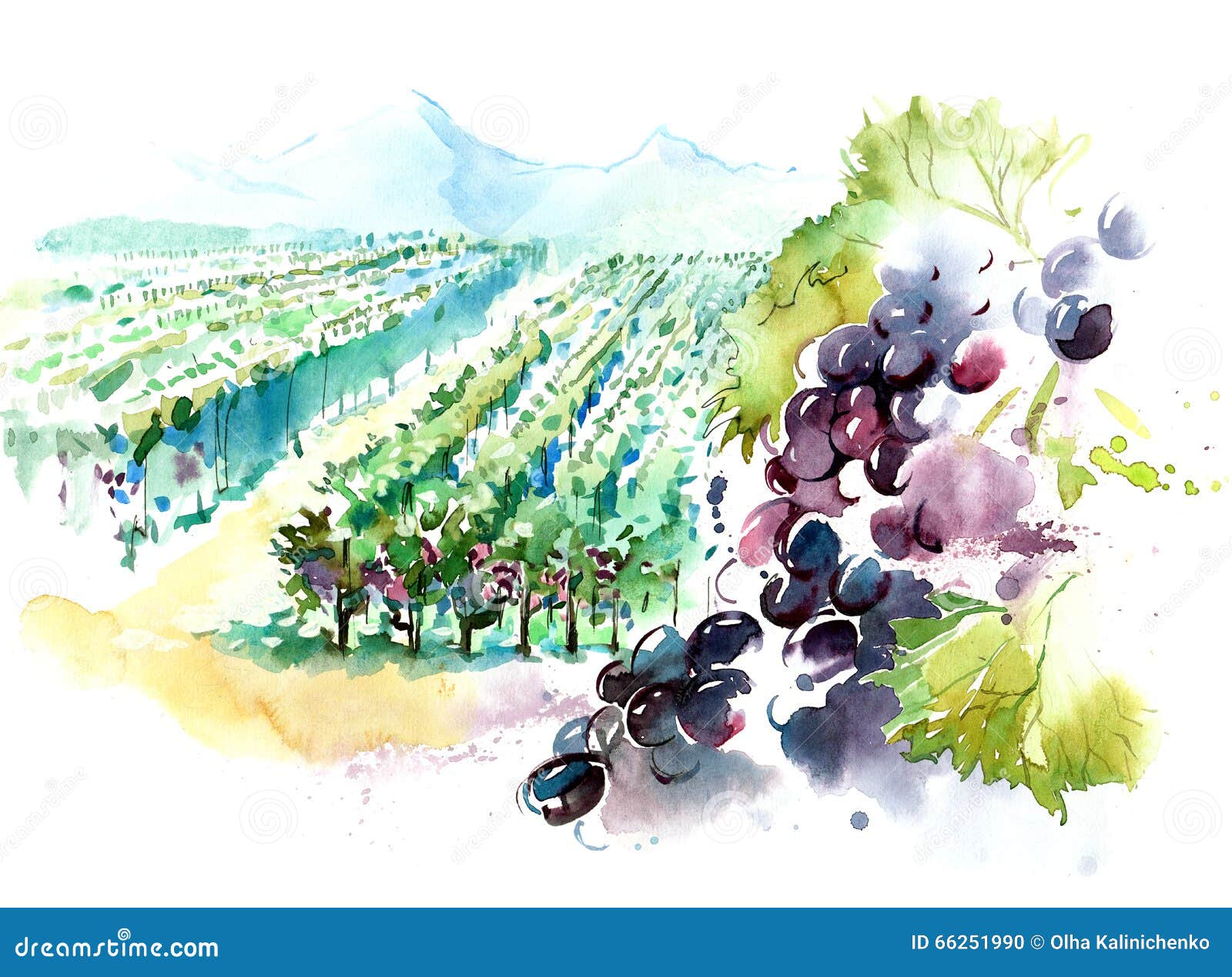 Vineyards stock illustration. Illustration of outdoors - 66251990