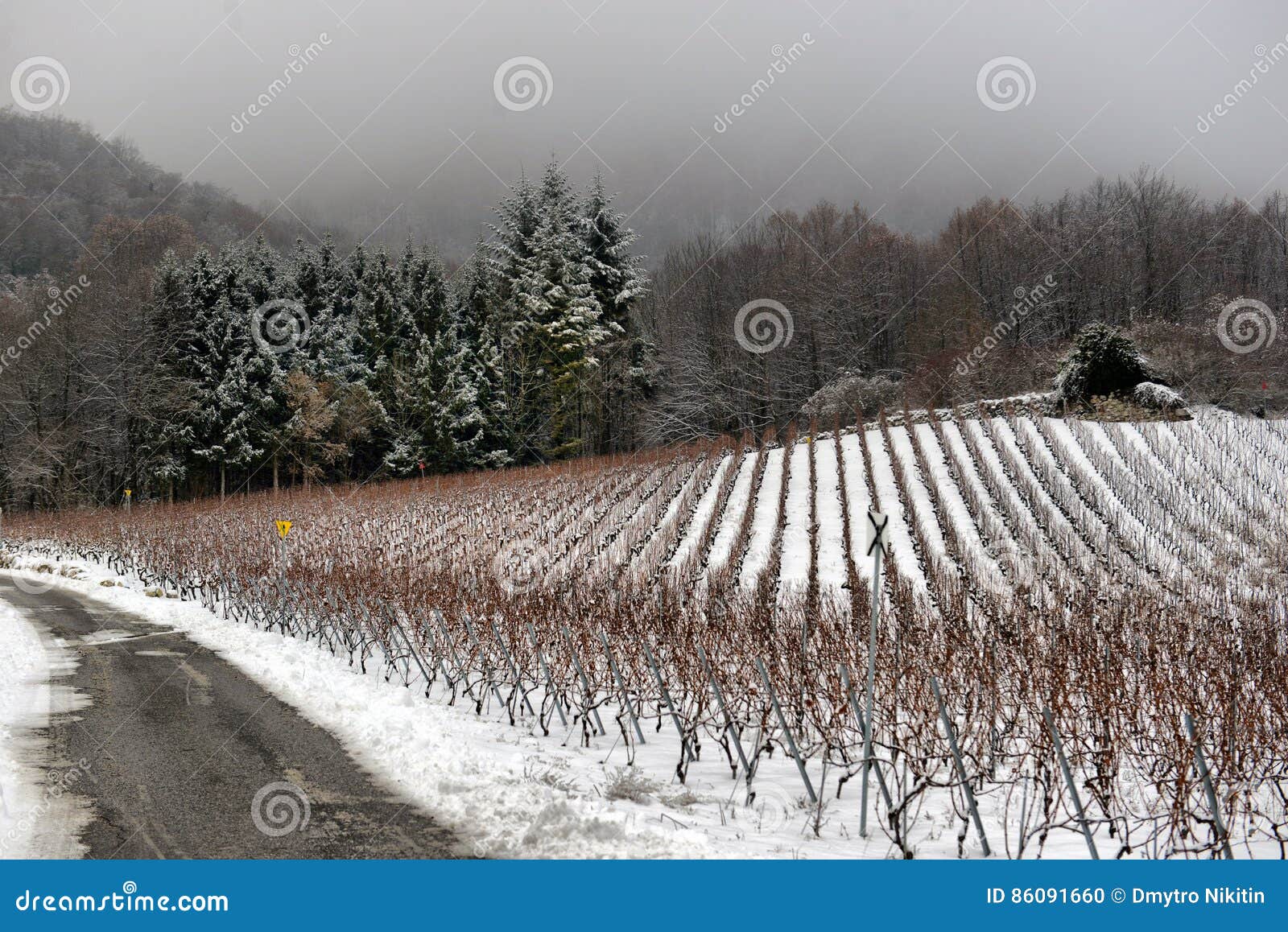 Vineyards in winter stock photo. Image of european, country - 86091660