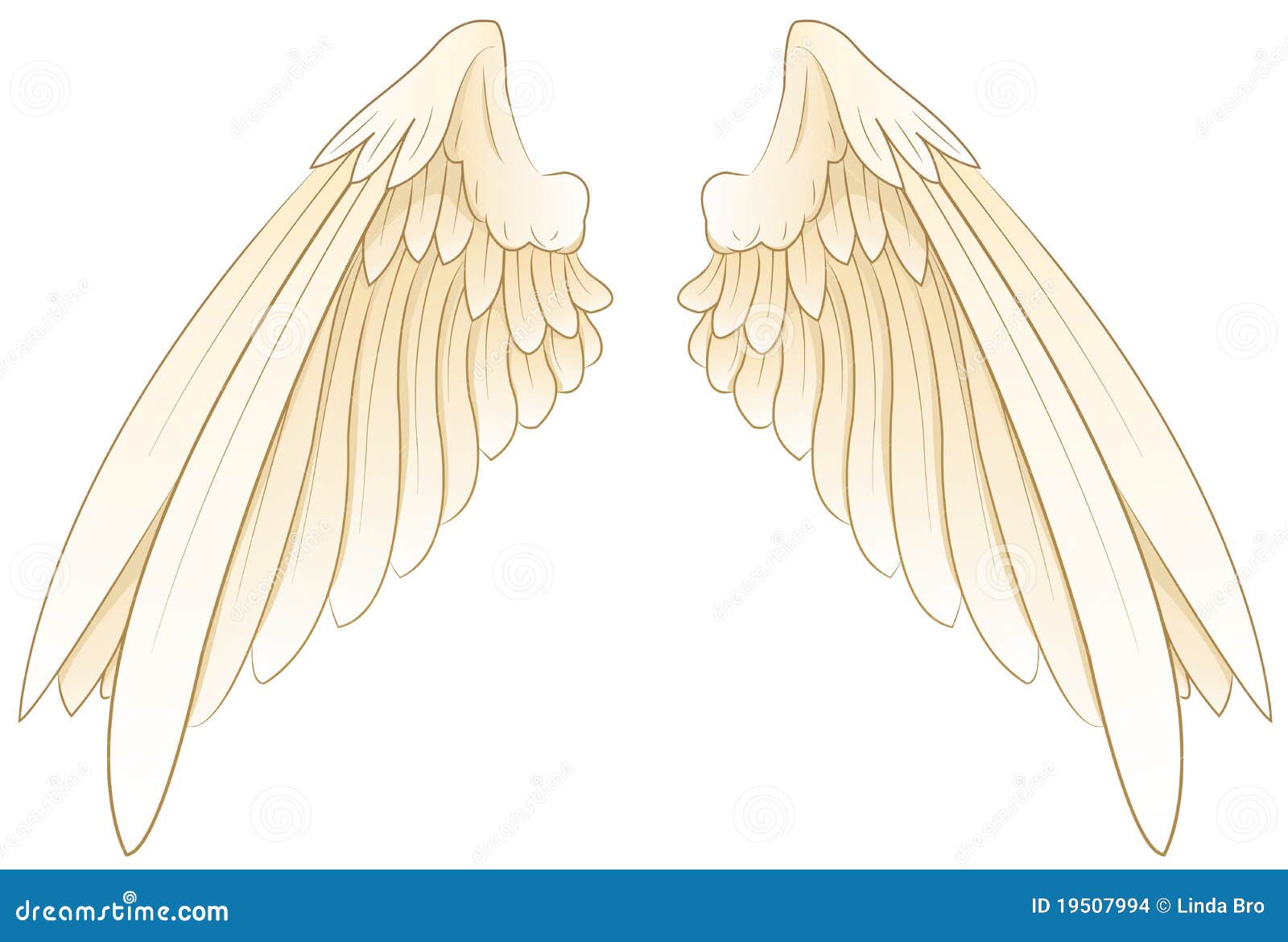 Vingar vektor illustrationer. Illustration av teckning - 19507994