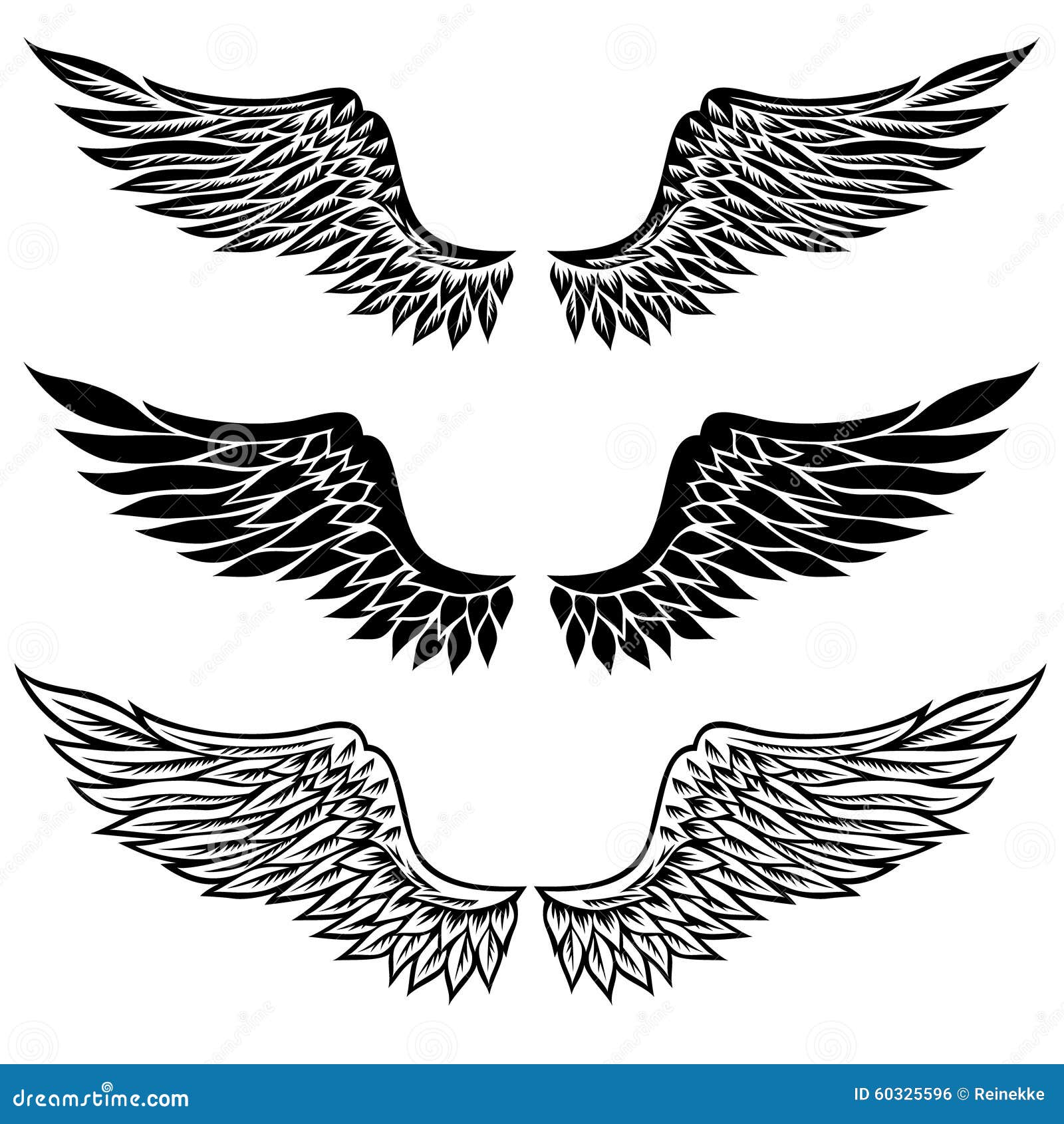 Vingar vektor illustrationer. Illustration av samling - 60325596