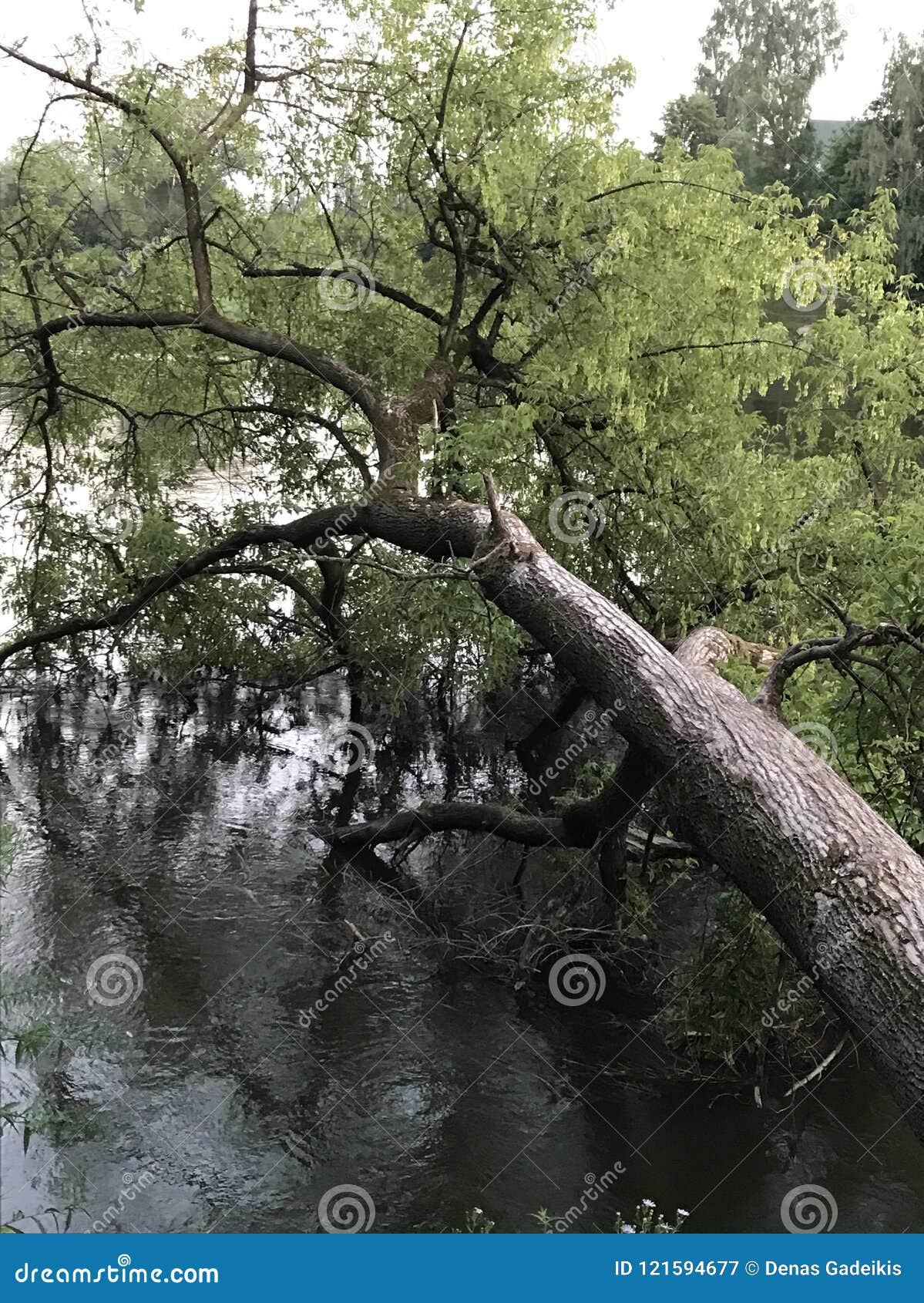 Vingis Park stock image. Image of vingis, relax, modernart - 121594677