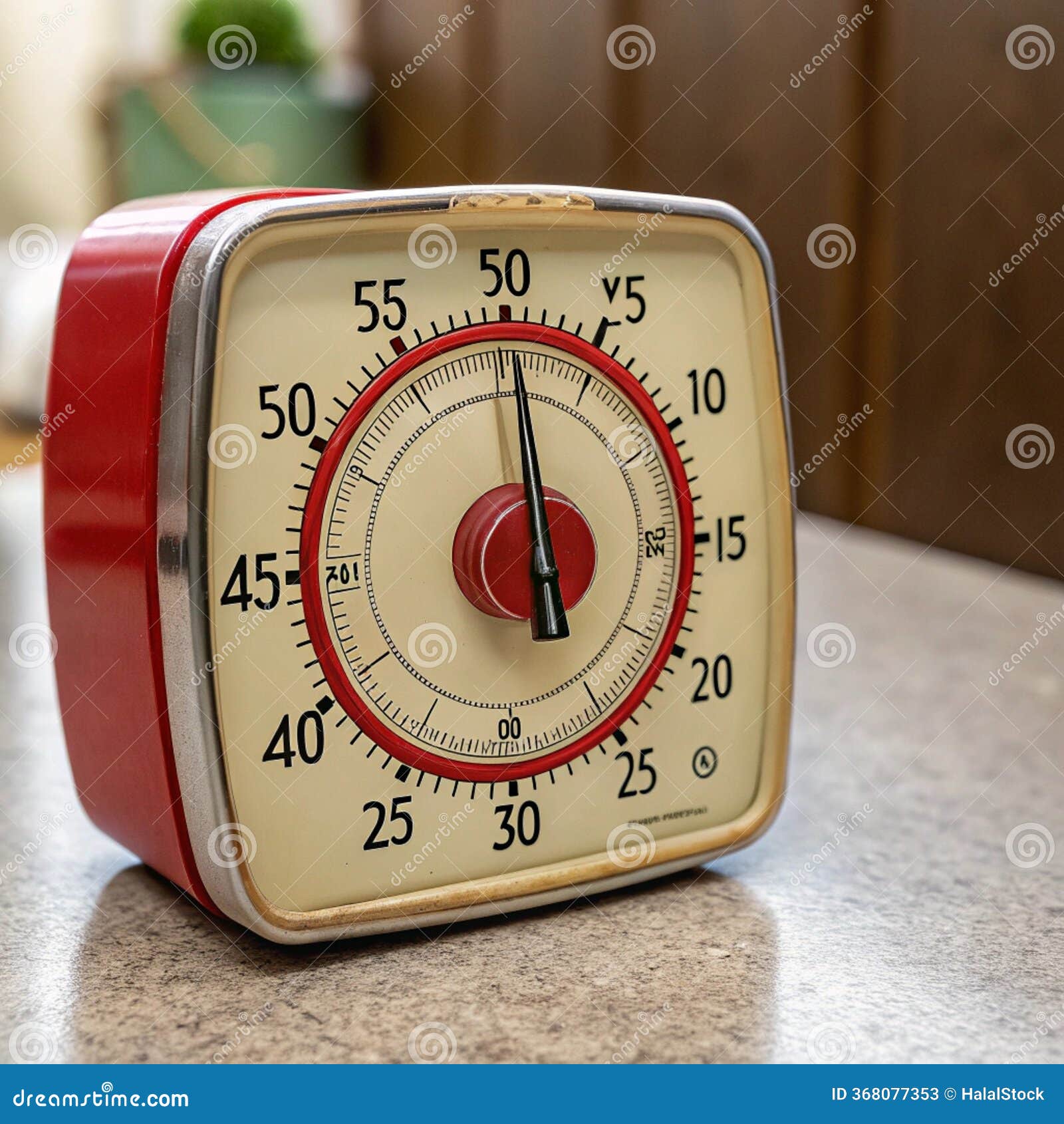 Vintage Kitchen Timer