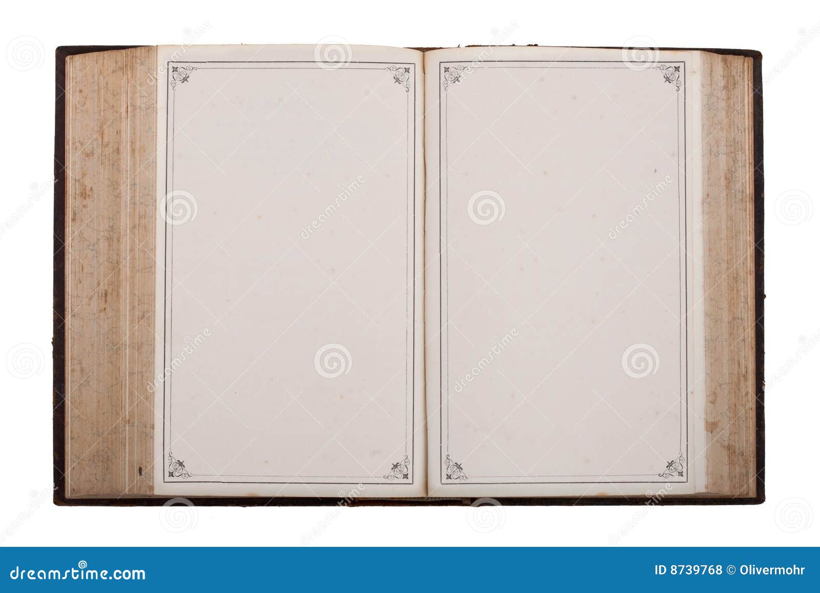 267 Vintage Ancient Bible Old Blank Pages Stock Photos - Free & Royalty ...
