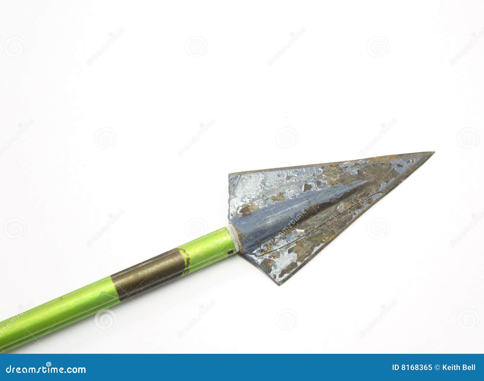 109 Broadhead Photos - Free & Royalty-Free Stock Photos from Dreamstime