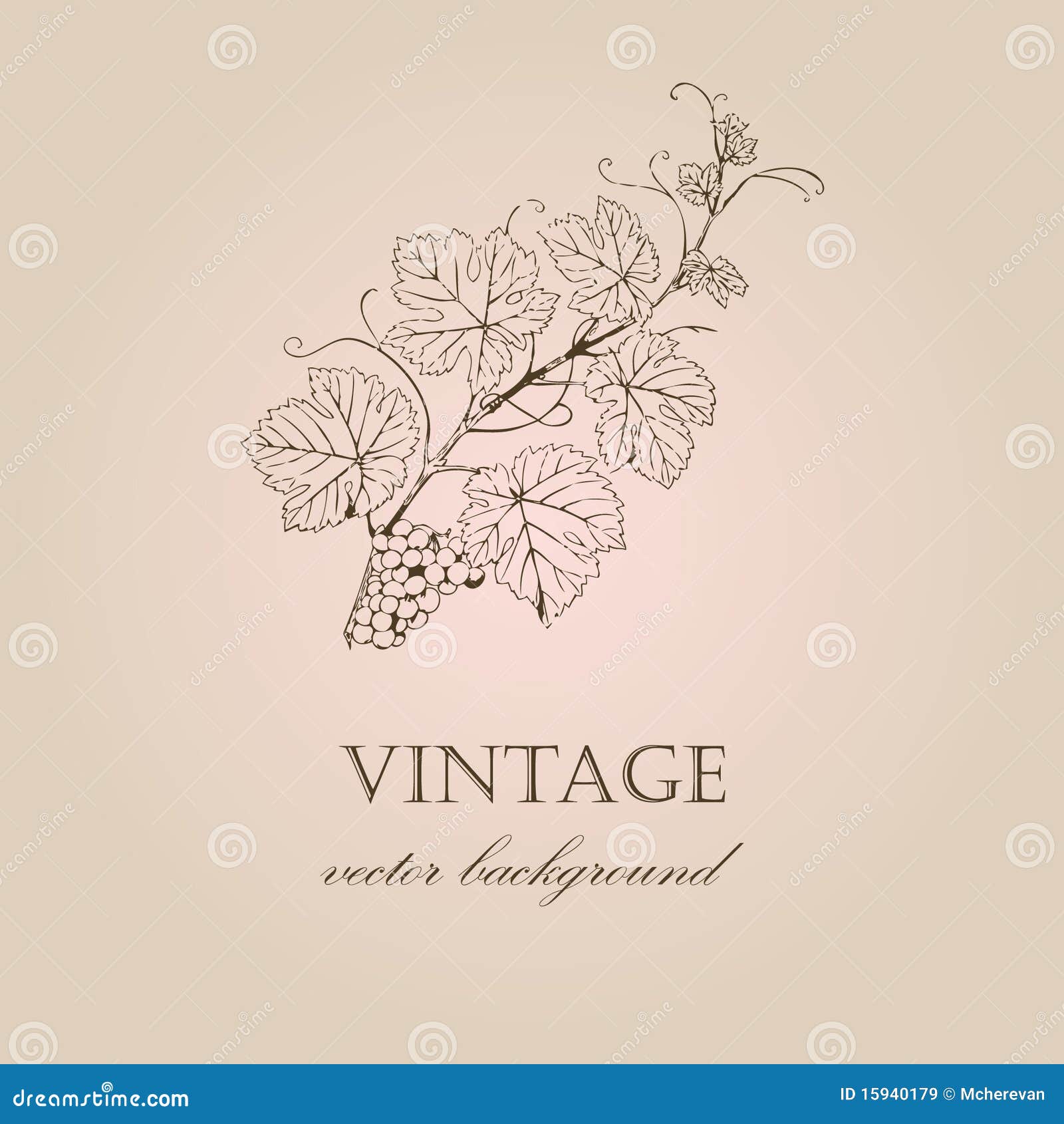 Vintage Background with Grape Branch Stock Vector - Illustration of ...