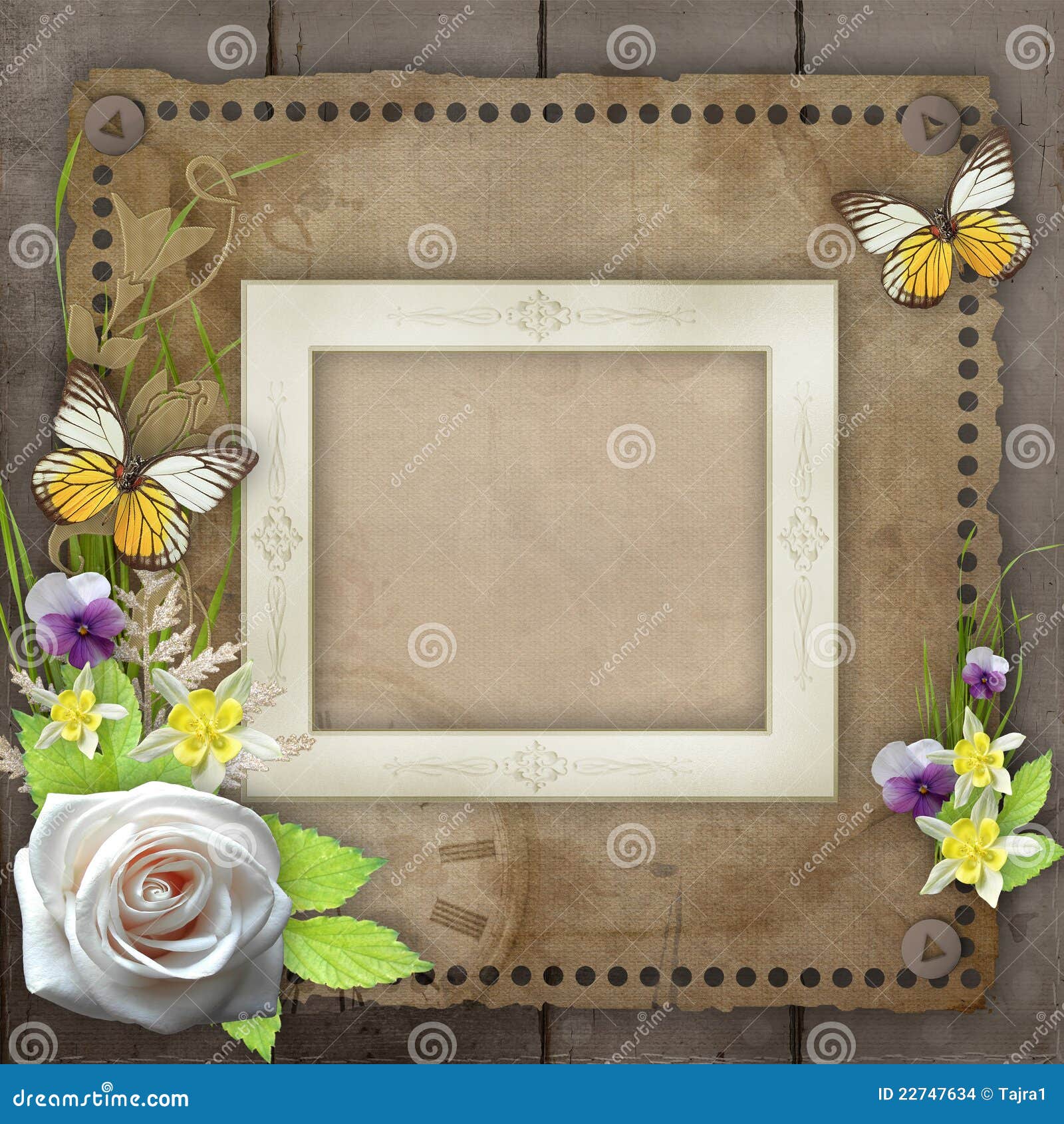 Butterfly Watch Stock Illustrations – 675 Butterfly Watch Stock ...