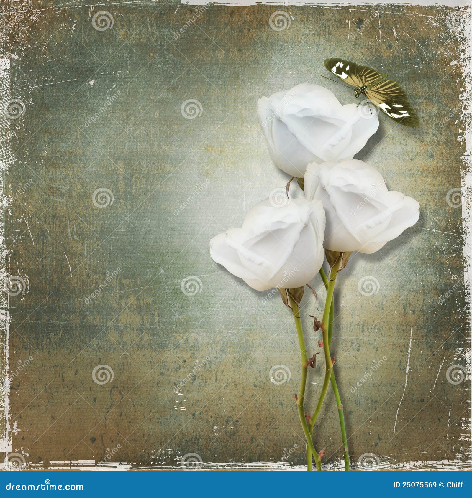 Fragile Roses Stock Illustrations – 261 Fragile Roses Stock ...