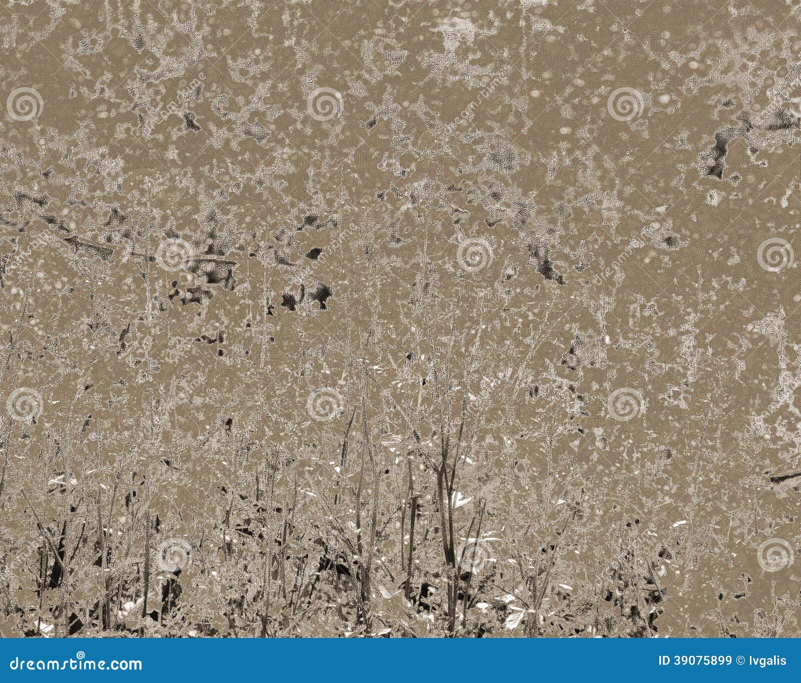 Vintage Background with Scratches Stock Image - Image of manuscript ...