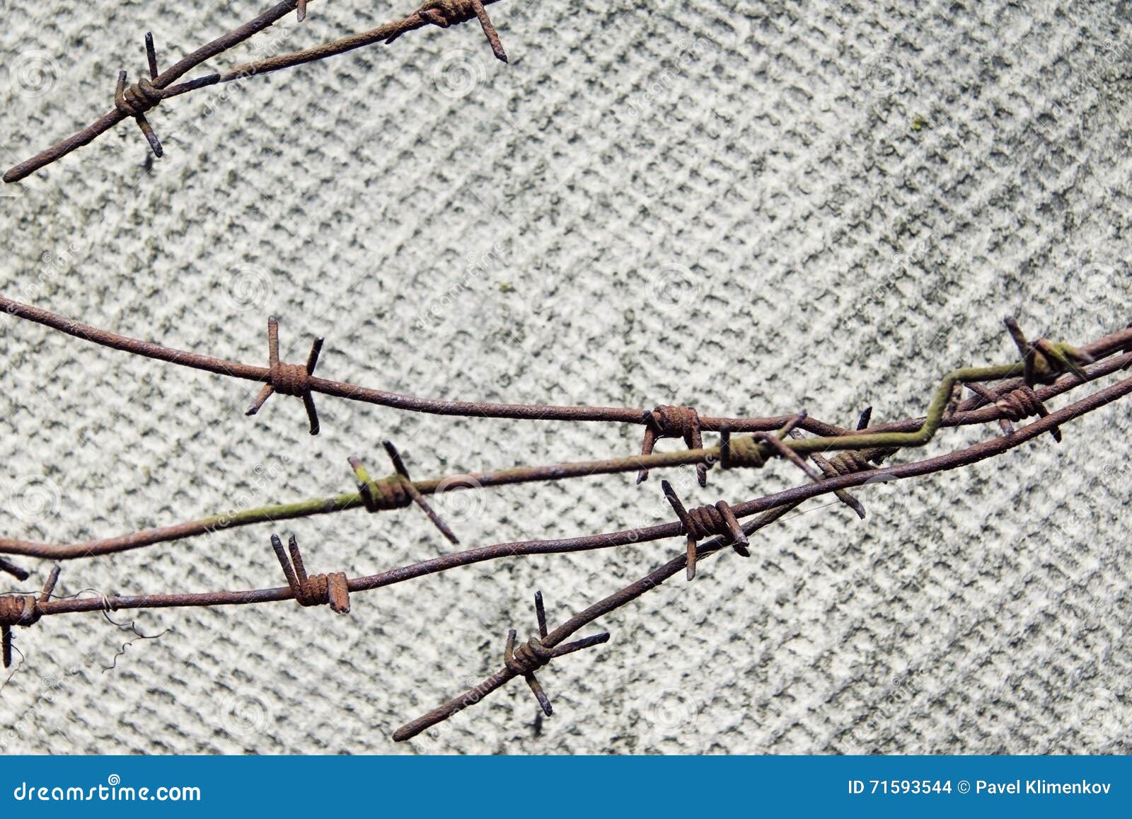 Vintage Barbed Wire on the Background Wall Stock Photo - Image of ...