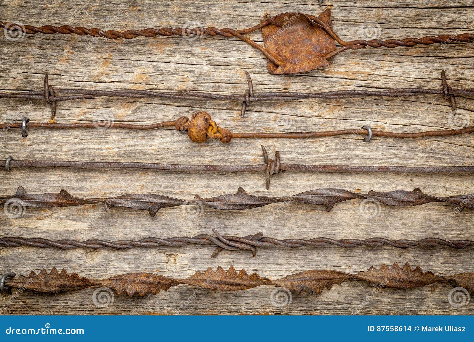 Vintage Barbed Wire Collection Stock Photo - Image of rusty, wire: 87558614