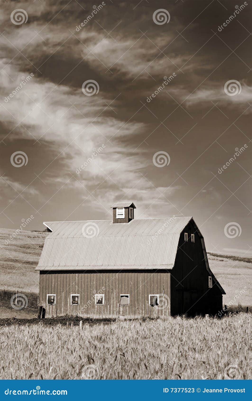 Vintage Barn stock image. Image of aged, outdoors, sunshine - 7377523