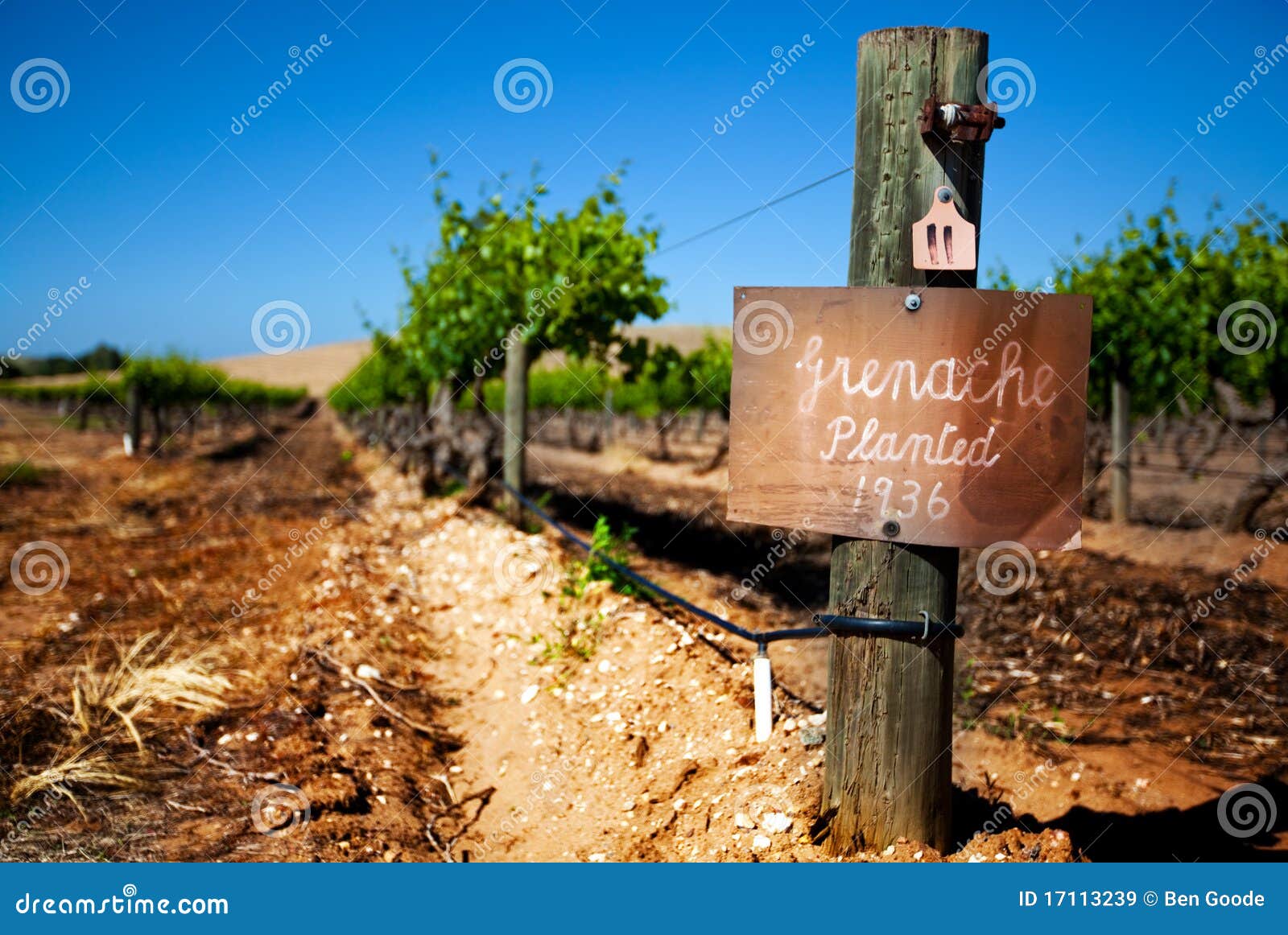 Barossa Sign Stock Photos - Free & Royalty-Free Stock Photos from ...