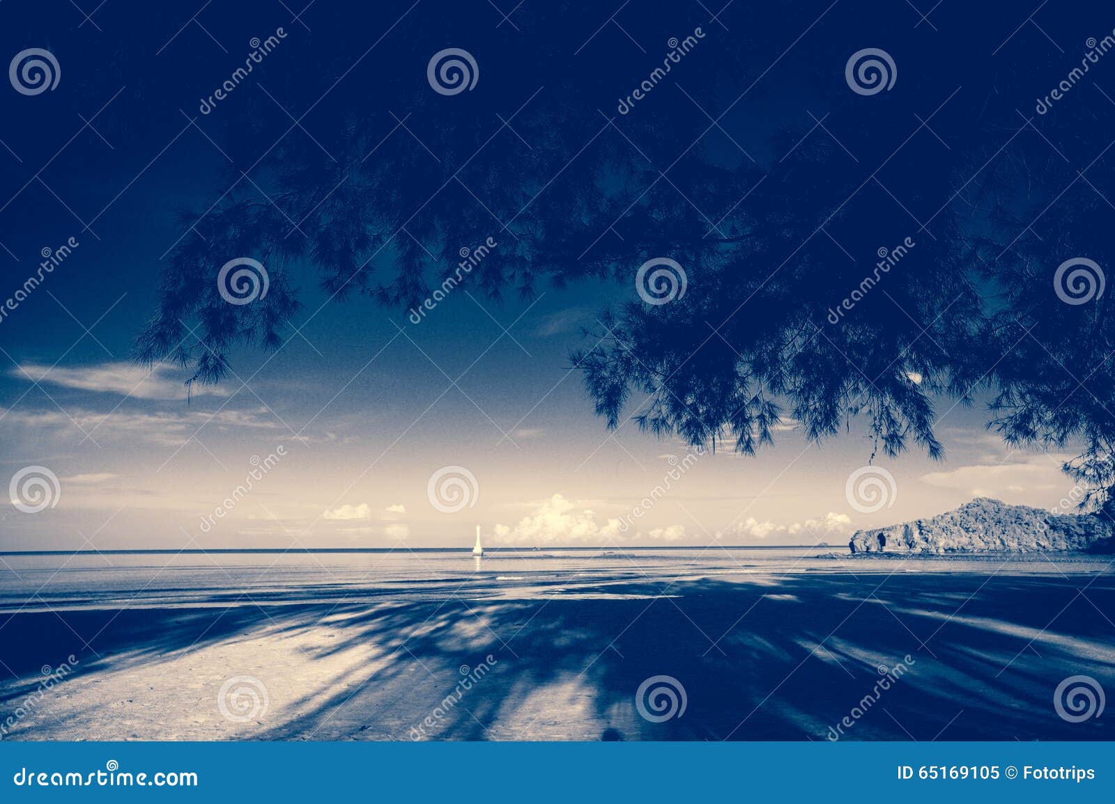Vintage Beach and Blue Sky for Background Stock Image - Image of palm ...