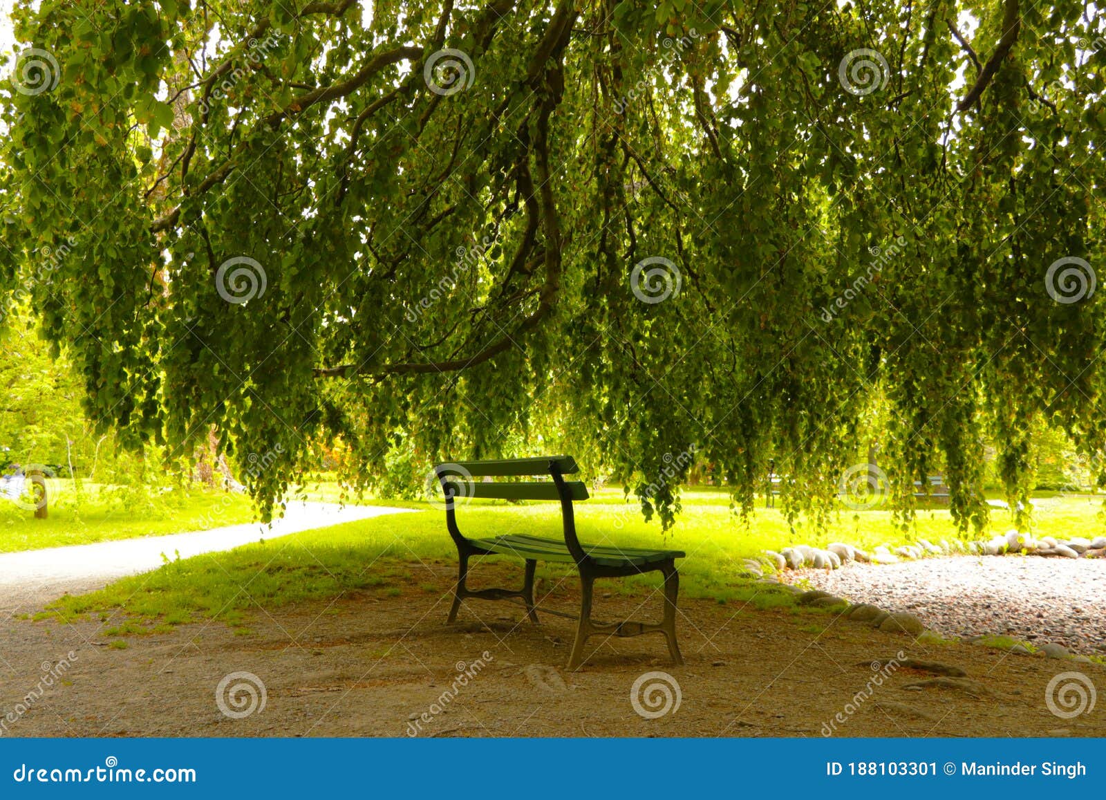Vintage Bench Under the Tree. Stock Image - Image of classic, green ...