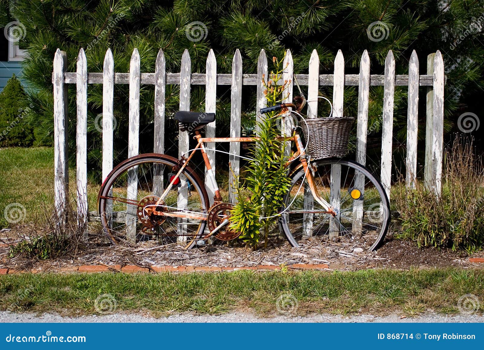 Vintage Bicycle By Fence Picture. Image: 868714