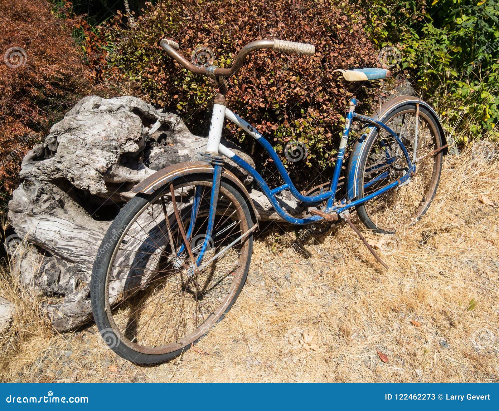 Rusting bicycle stock image. Image of bikes, comfortable - 122462273