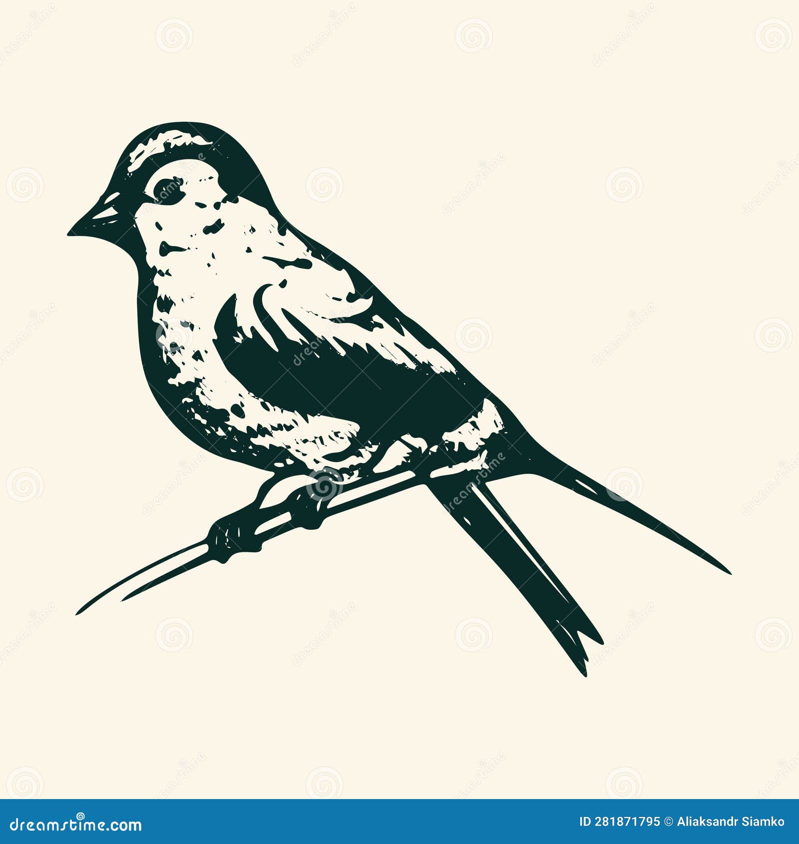 Vintage Bird Sketch - Ornithology Vector Illustration Stock Vector ...