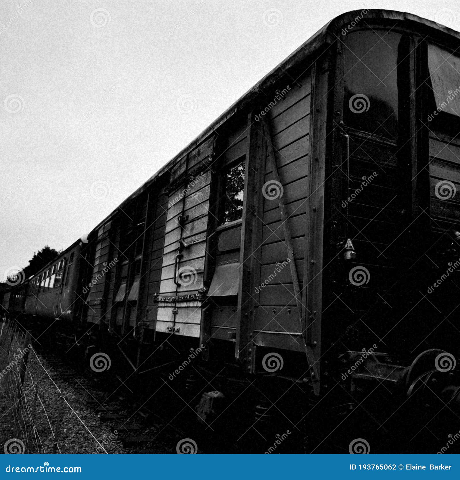 A White Train Is Seen Traveling Down Train Tracks, Surrounded By A Lush ...