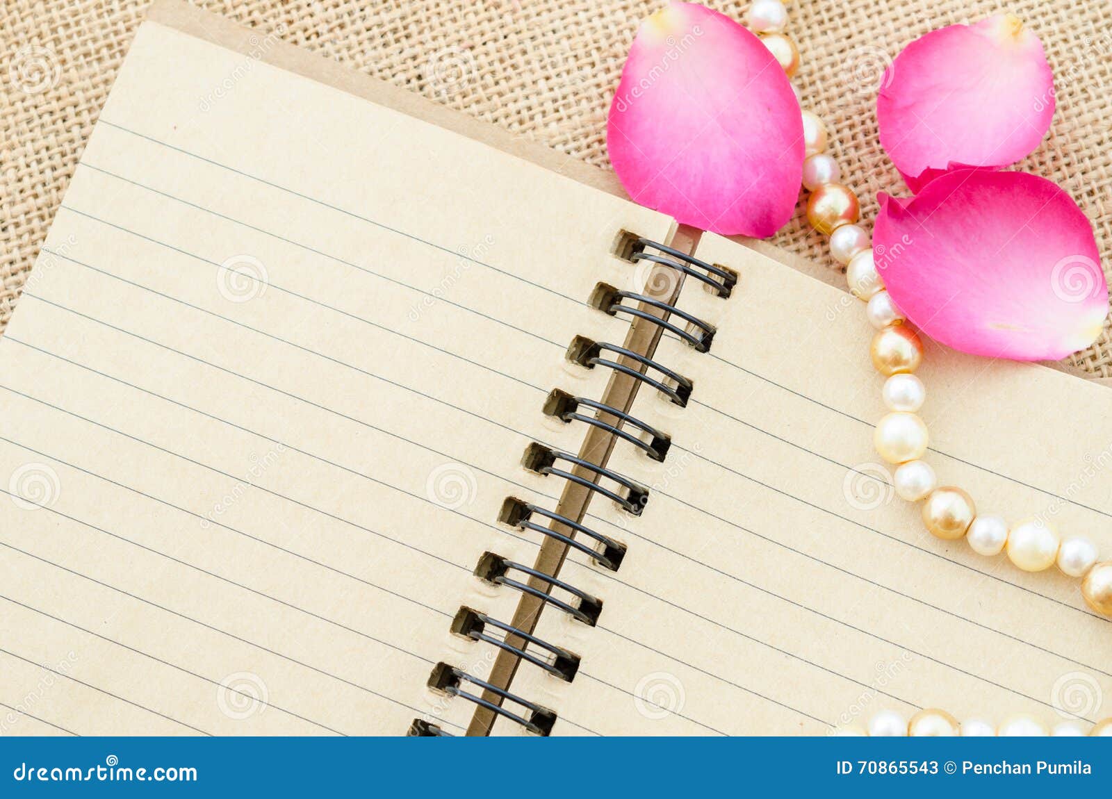 Vintage Blank Open Old Diary. Stock Image - Image of message, book ...