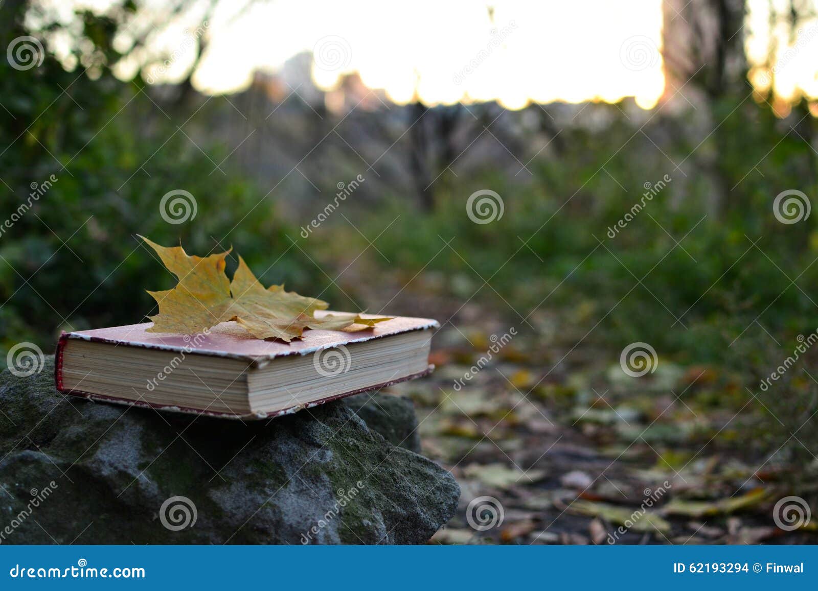 Vintage Book with Fallen Leaf on it Stock Photo - Image of sundown ...