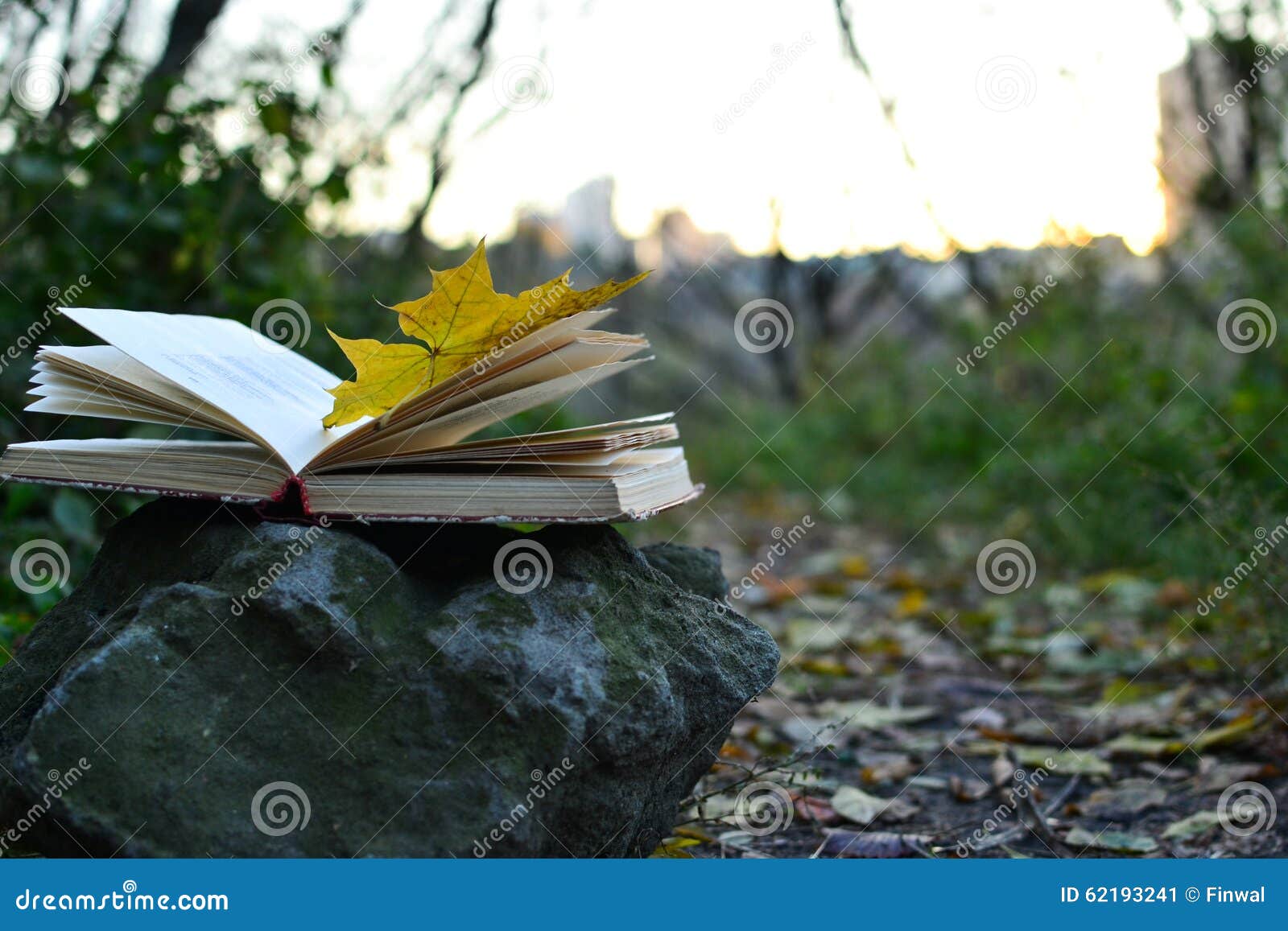 Vintage Book with Fallen Leaf on it Stock Image - Image of nature ...