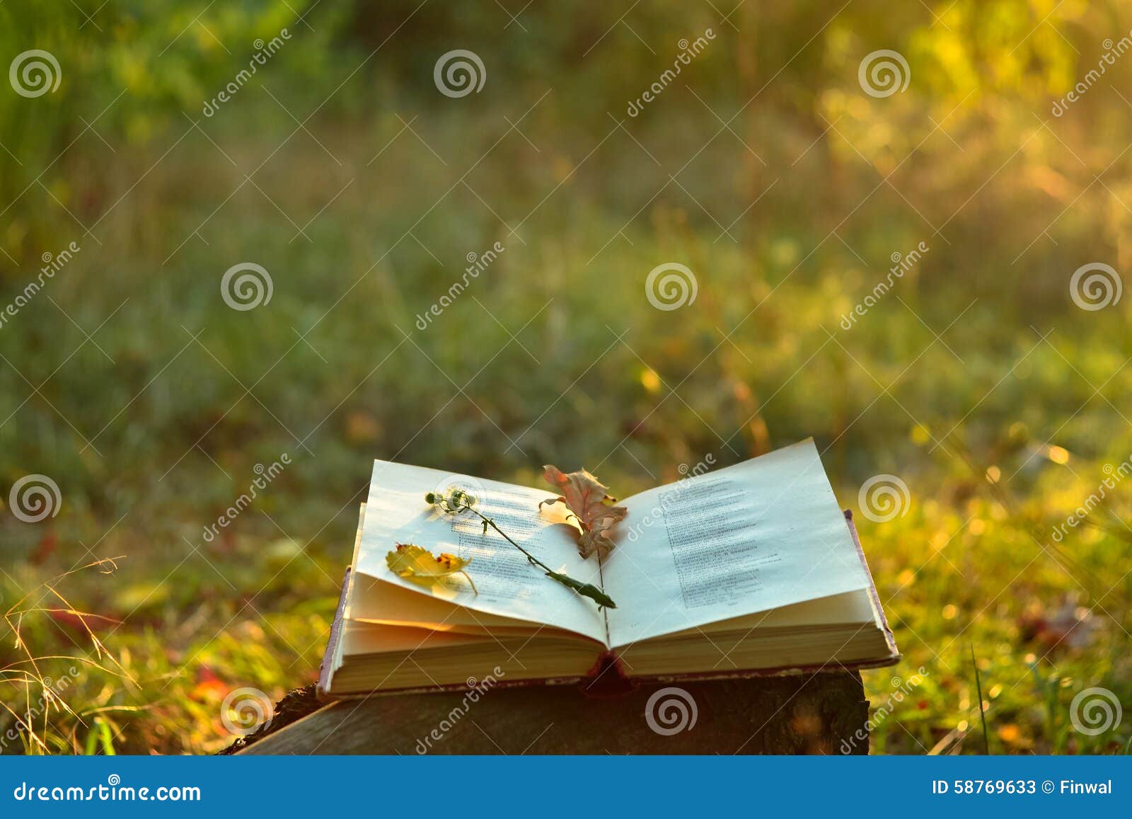 Vintage Book of Poetry Outdoors Stock Image - Image of rays, open: 58769633