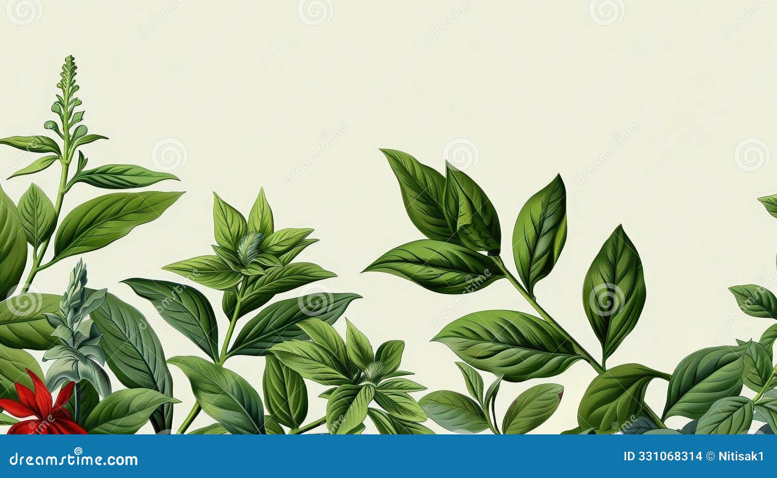 Poisonous Plants - Collection Of Flowers Rosary Pea, Deadly Nightshade ...