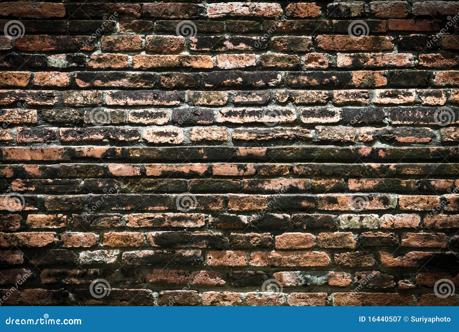 Vintage brick wall stock image. Image of clear, plaster - 16440507