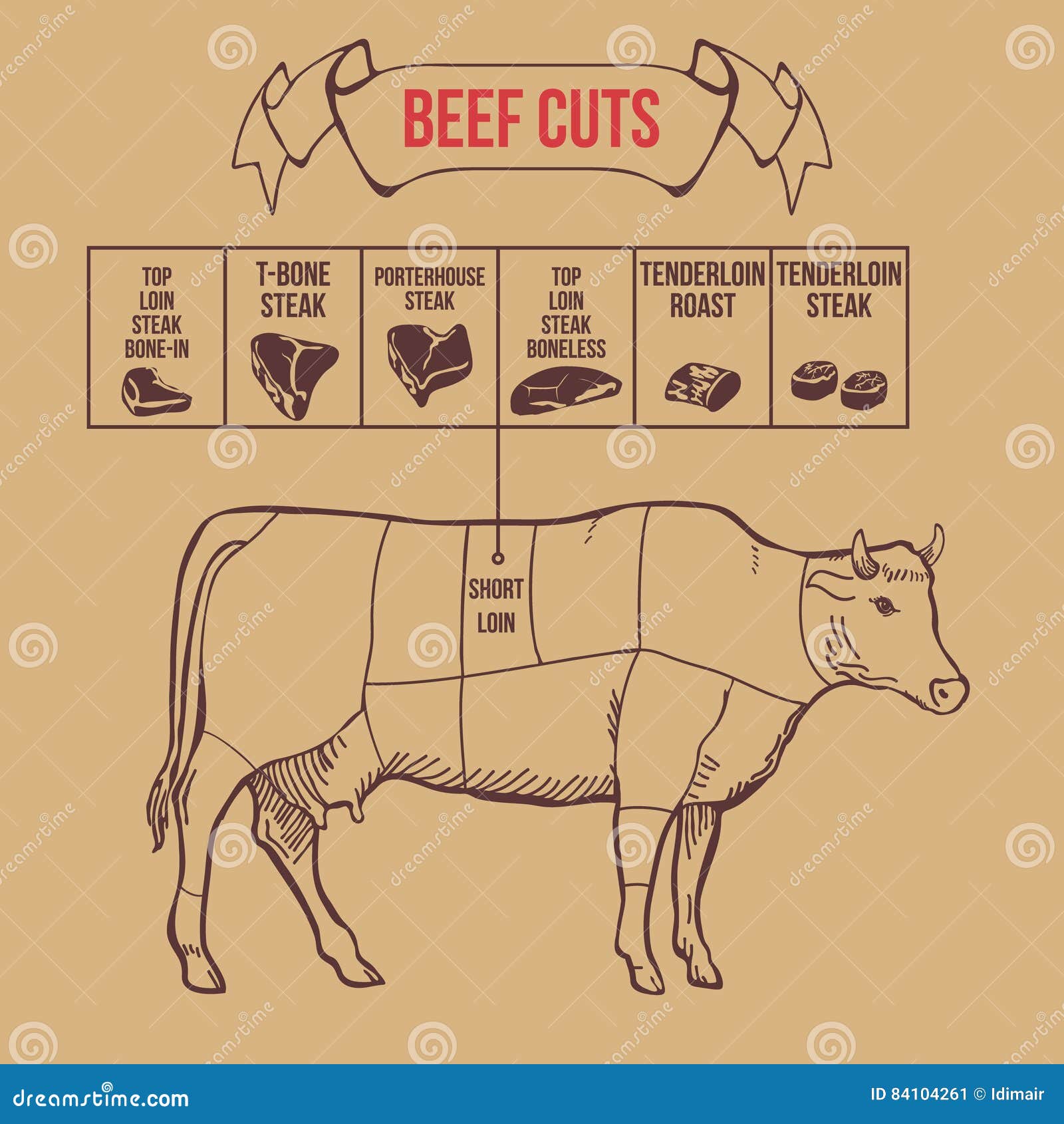 Cow, Beef. Scheme, Diagram, Chart Pork, Butcher Guide Cartoon Vector ...