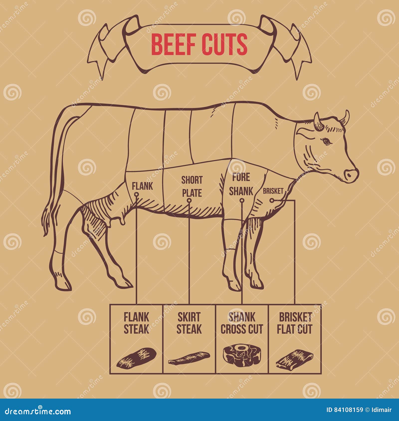 Vintage Butcher Cuts of Beef Scheme Vector Stock Vector - Illustration ...