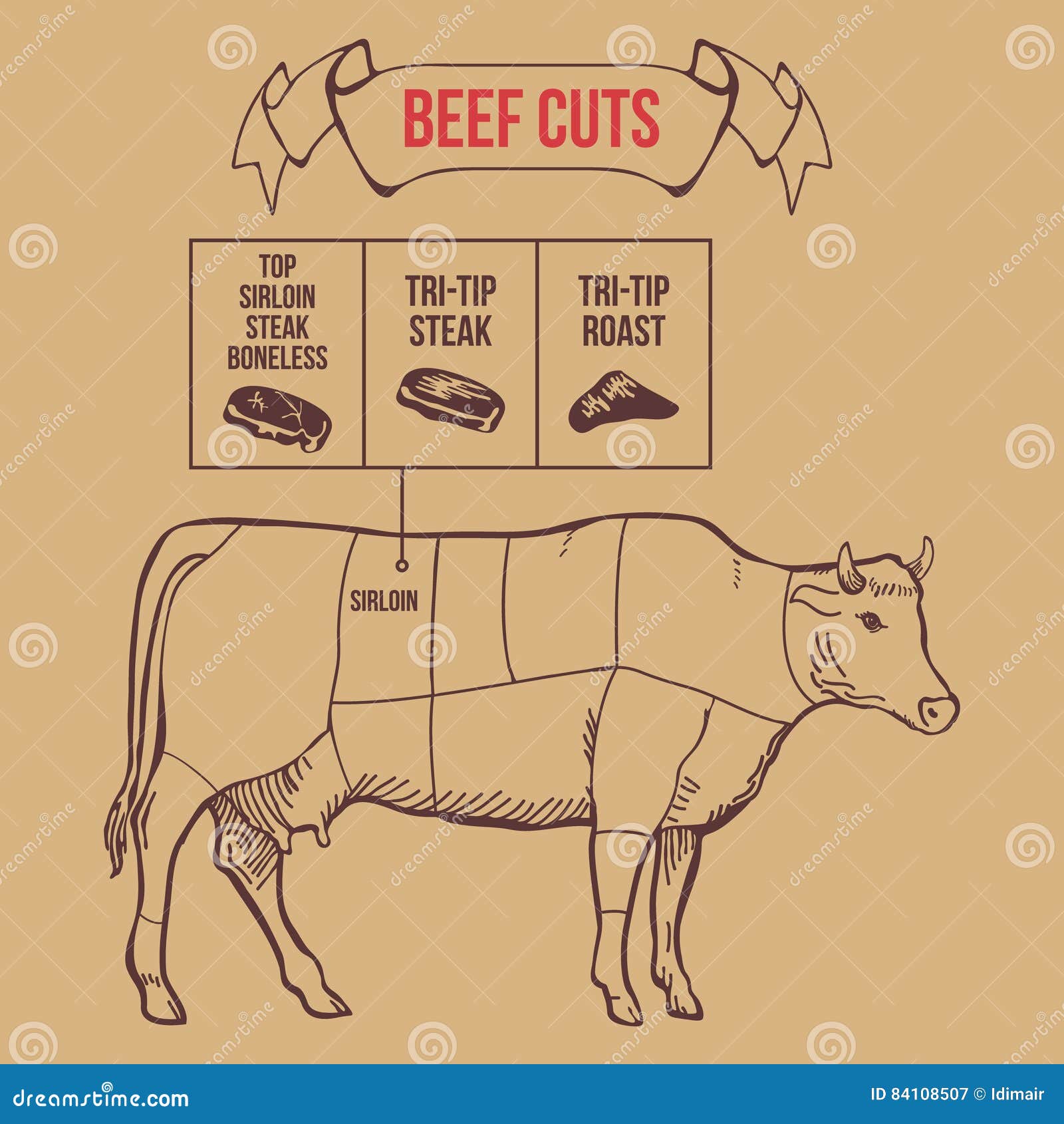 Cow, Beef. Scheme, Diagram, Chart Pork, Butcher Guide Vector ...