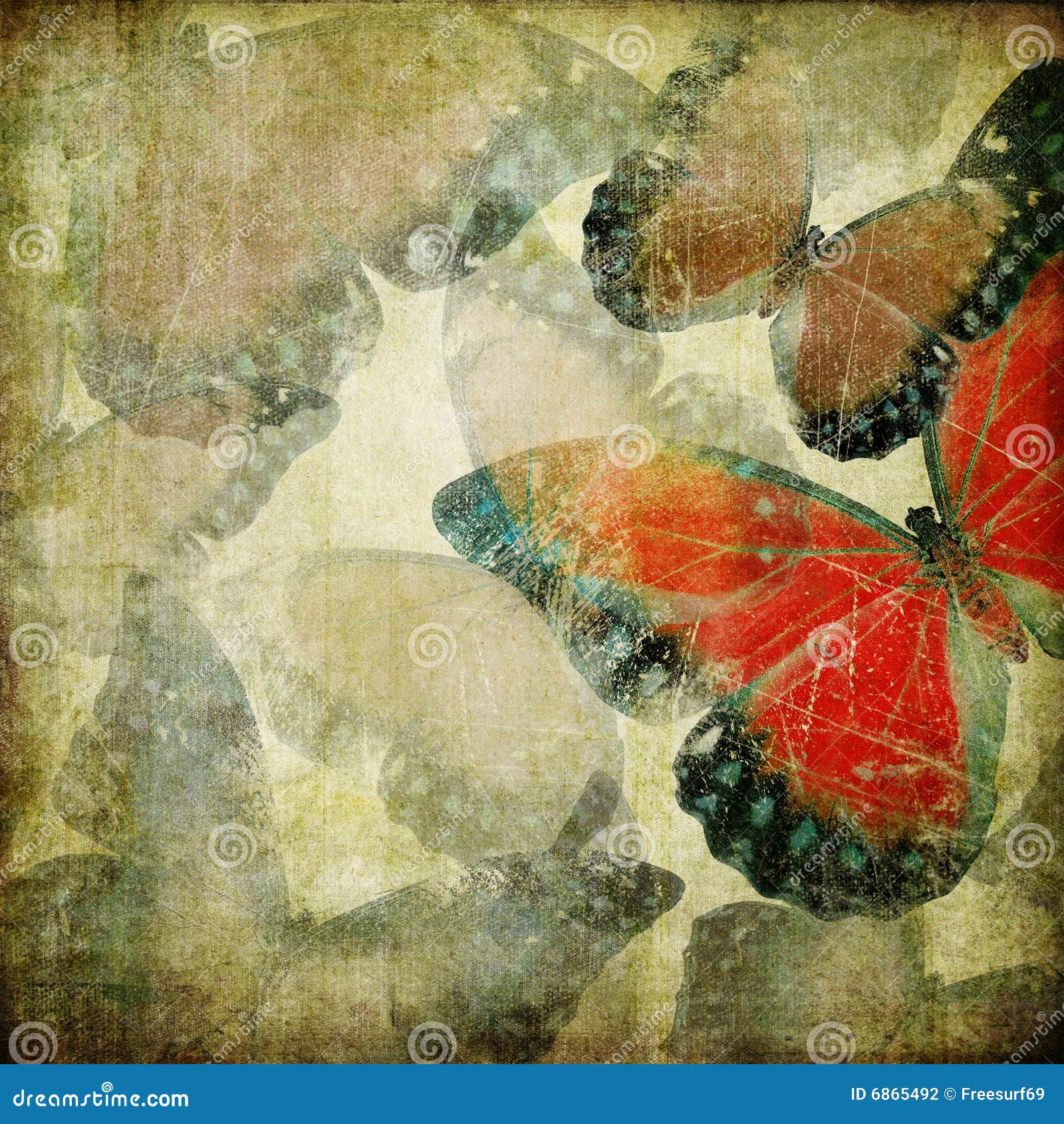 Empty Butterflies Stock Illustrations – 869 Empty Butterflies Stock ...