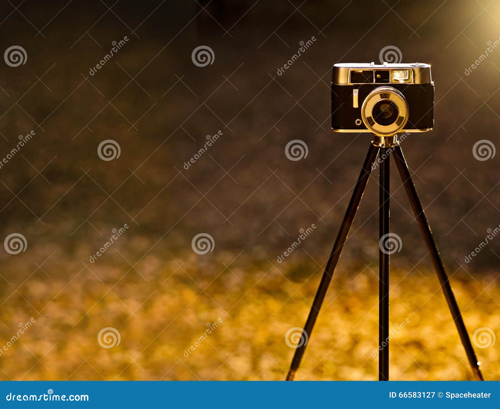 Vintage camera backlit stock image. Image of sunrise - 66583127