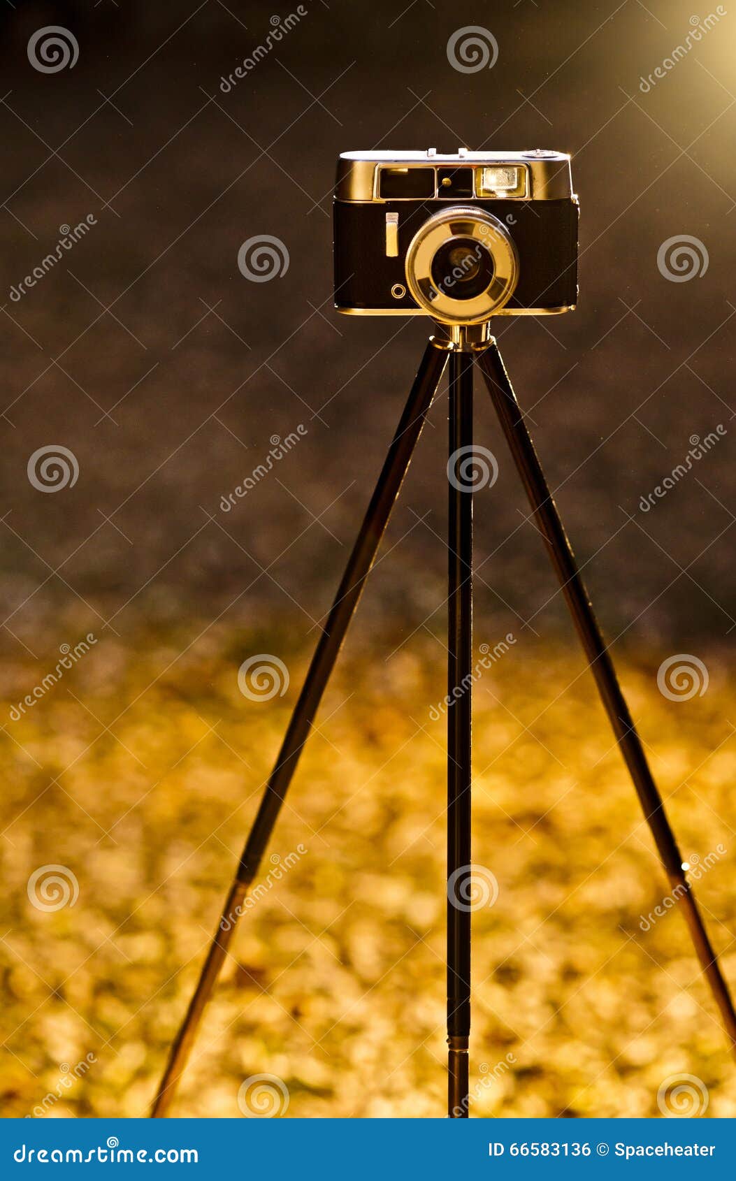 Vintage camera backlit stock photo. Image of sunny, rangefinder - 66583136