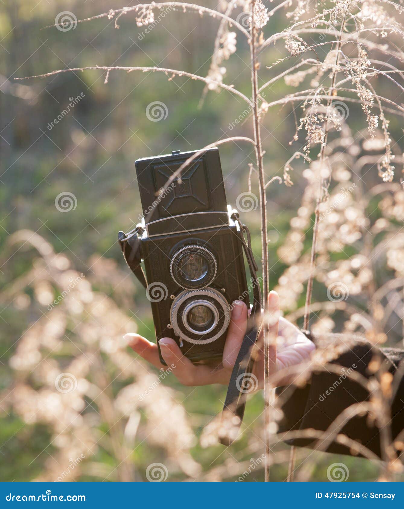 Vintage camera in hand stock photo. Image of beautiful - 47925754