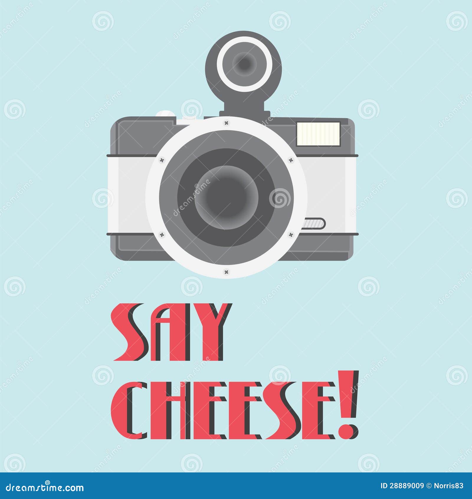 Vintage camera poster stock vector. Illustration of fish - 28889009