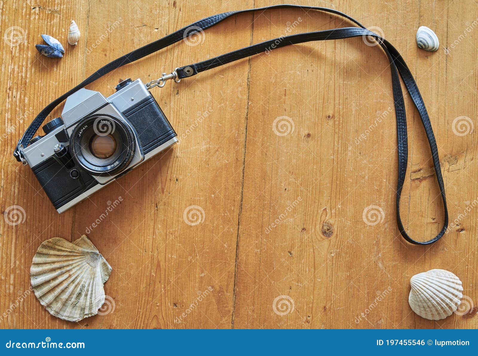 Vintage Camera and Seashells on a Wooden Table Stock Photo - Image of ...
