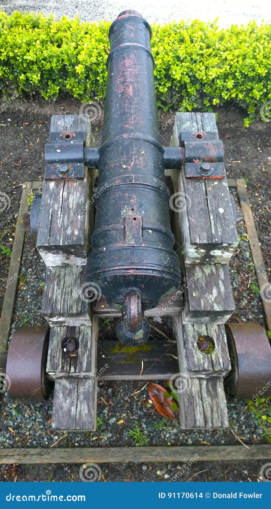 Vintage cannon stock photo. Image of aged, metal, historical - 91170614