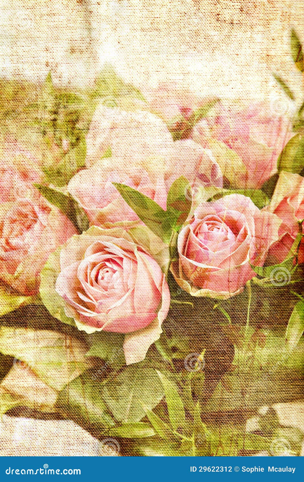 Vintage canvas rose print stock photo. Image of grime - 29622312
