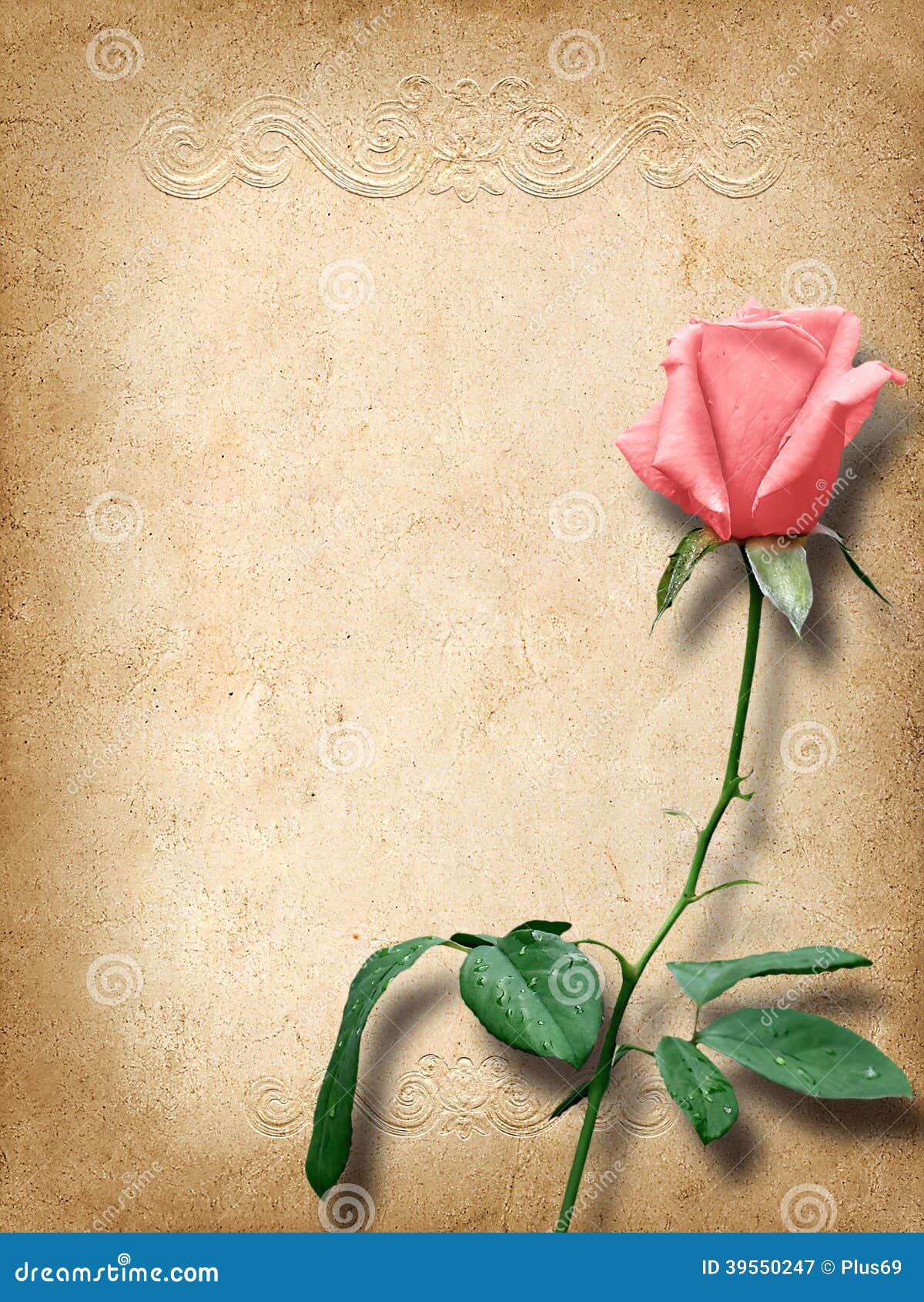 Vintage Card for Congratulations with Pink Roses Stock Image - Image of ...