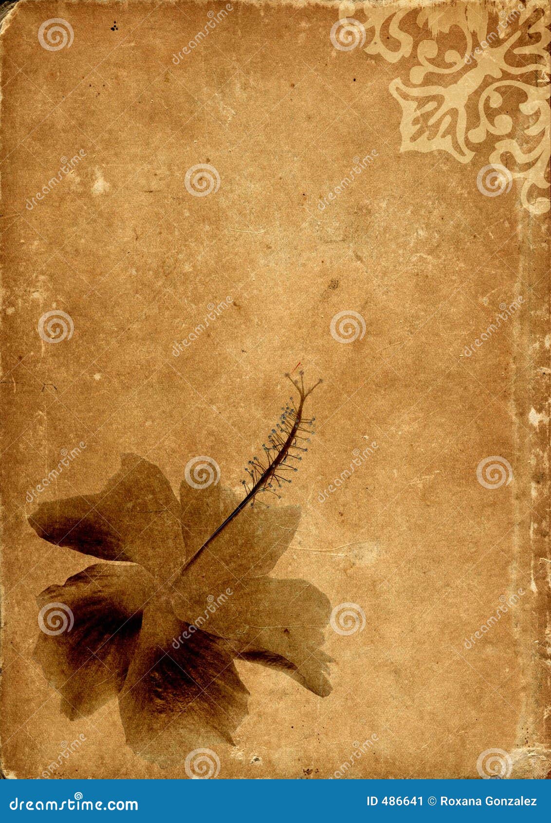 604 Tattered Note Card Stock Photos - Free & Royalty-Free Stock Photos ...