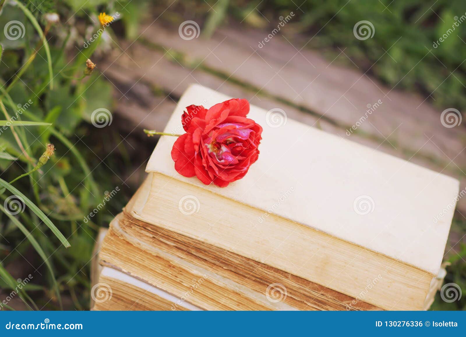 Vintage Card with Stack of Old Books and Rose Flower Outdoors Stock ...