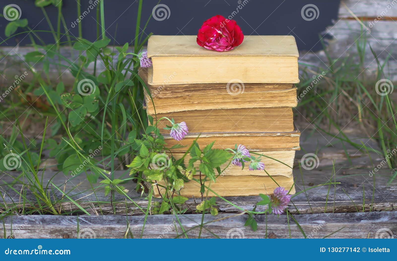 Vintage Card with Stack of Old Books and Rose Flower Outdoors Stock ...