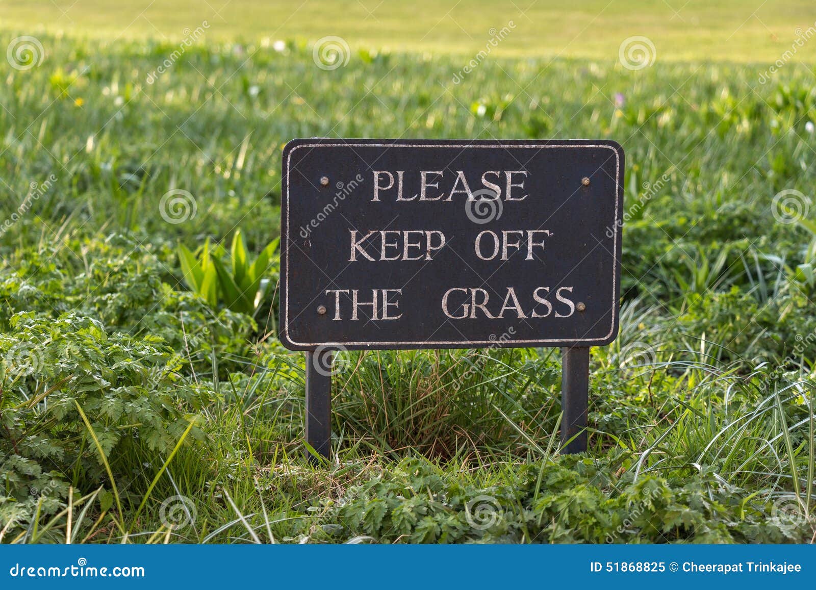 Vintage Caution Sign: Please Keep Off the Grass Stock Image - Image of ...